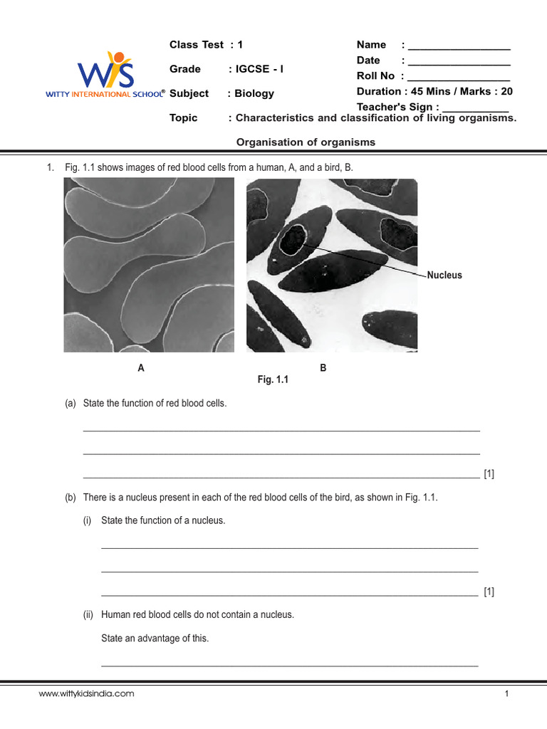 Biology Class Test | PDF | Osmosis | Insulin