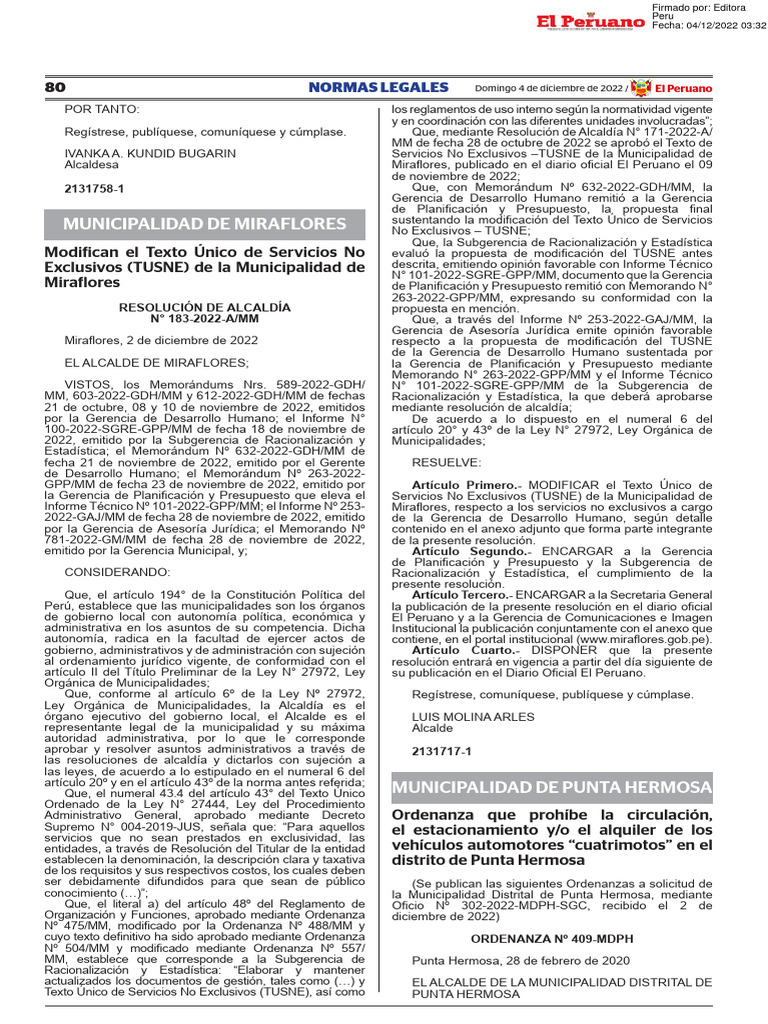 Ordenanza #409-MDPH | PDF | Gobierno local | Peatonal