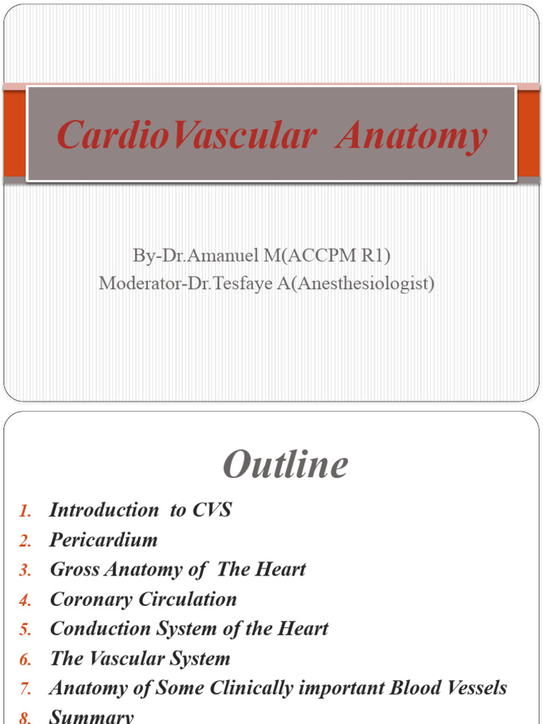 Cardiovascular System Anatomy Overview | PDF | Heart Valve | Coronary ...