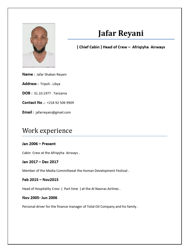 Jafar_.cv | PDF