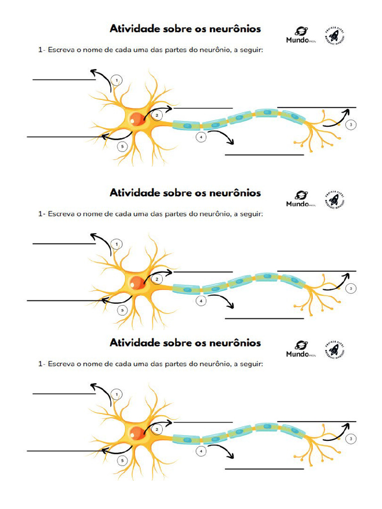 NEURÔNIOS | PDF