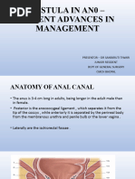 Seton Techniques for Anal Fistula Treatment | PDF | Gastroenterology
