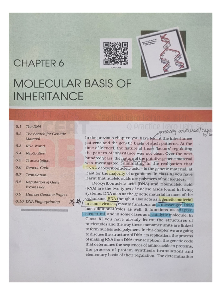 Molecular Basis of Inheritance AR Marked | PDF