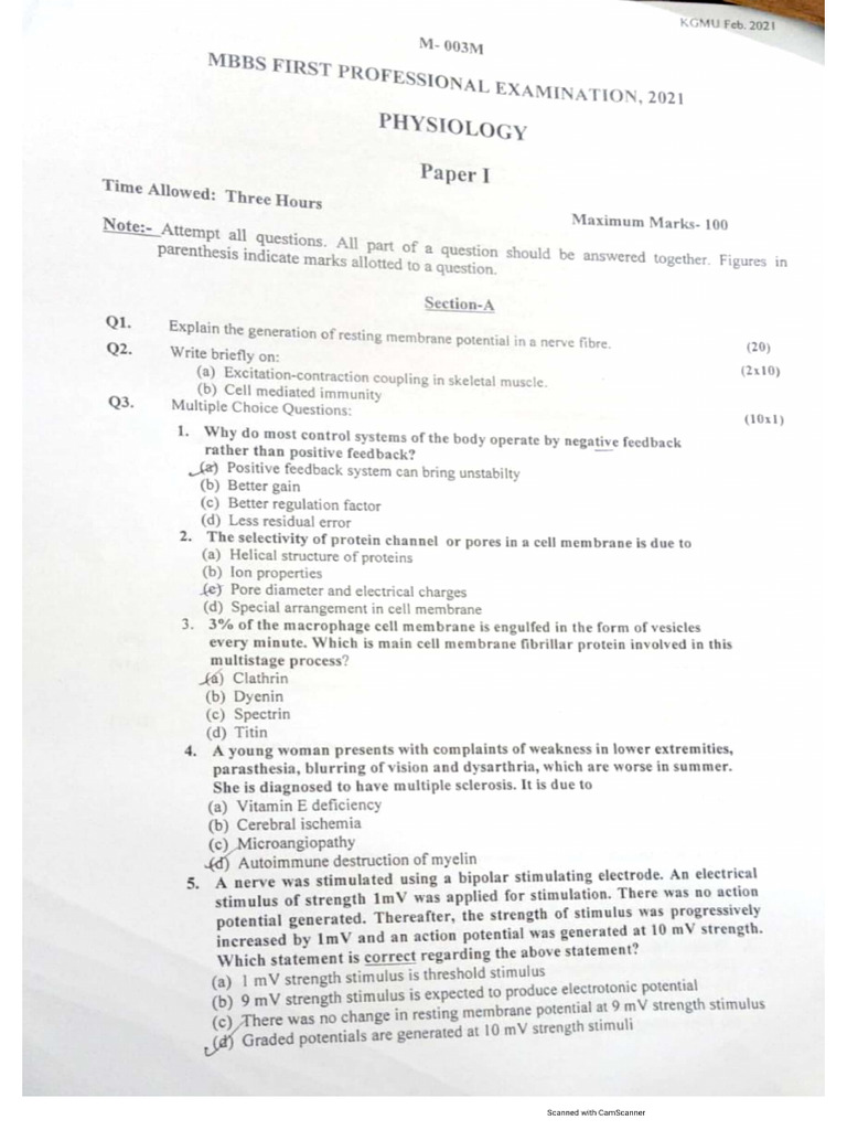 Physio 1st Proff... 2019 Batch | PDF