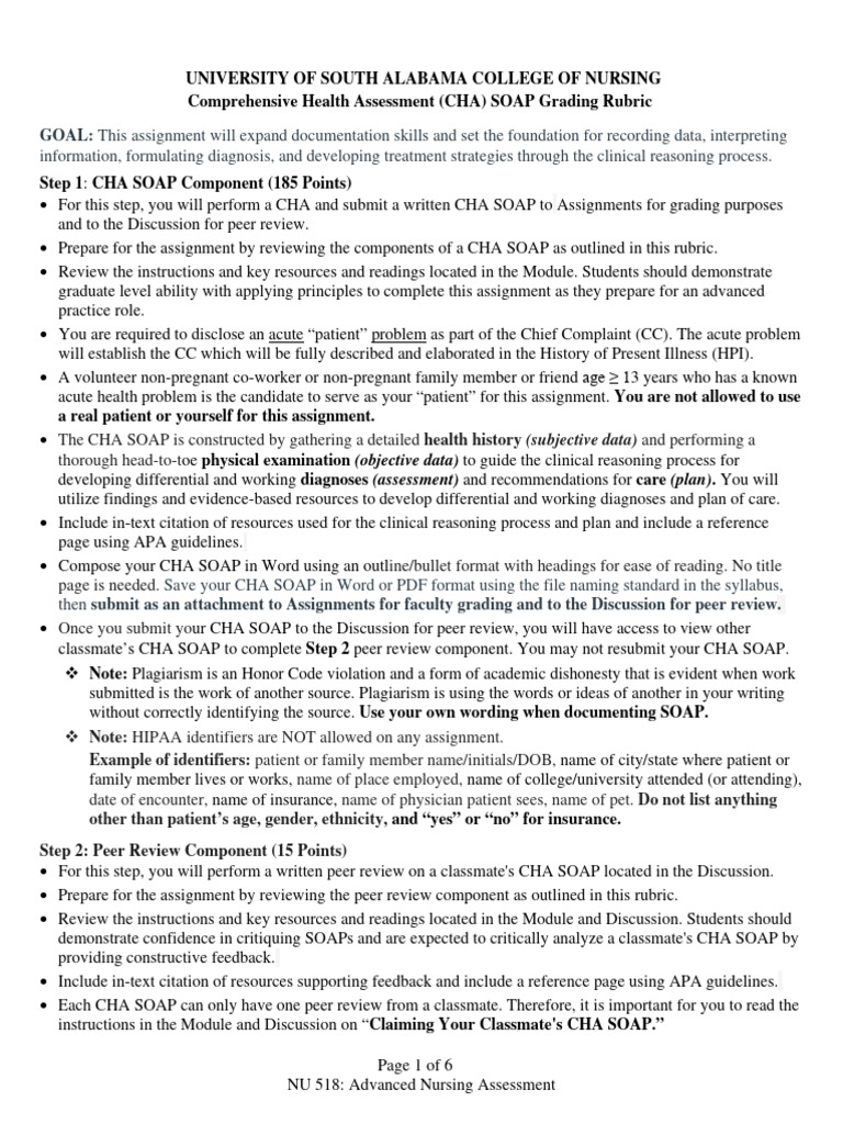 NU 518 Comprehensive Health Assessment SOAP Grading Rubric | PDF ...