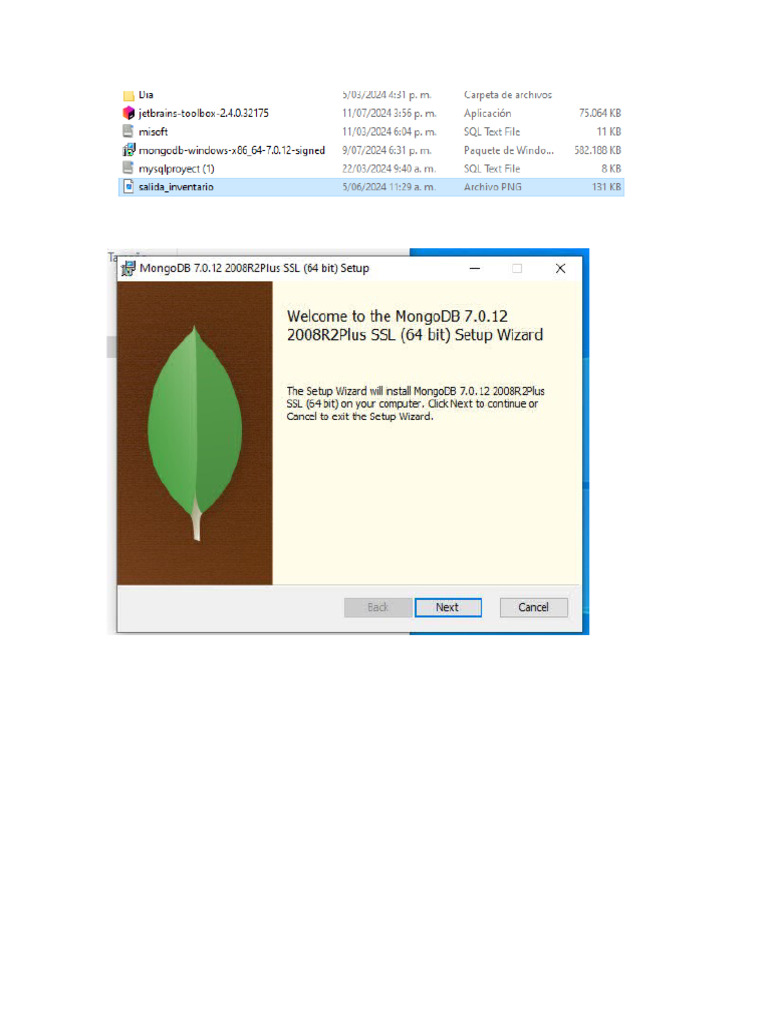 Manual de Descarga Mongo | PDF
