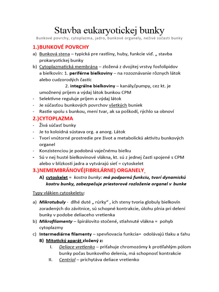 Stavba Eukaryotickej Bunky | PDF