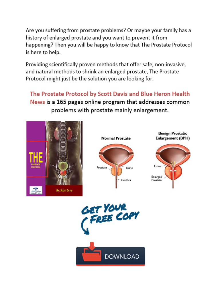 The Prostate Protocol by Scott Davis | PDF