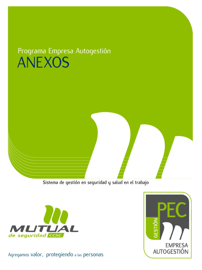 Anexos - Programa - Pec - Autogestion 2024 | PDF | Incendios | Documento de identidad