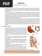 Anatomía y fisiología del apéndice | PDF | Intestino grueso | Tracto ...