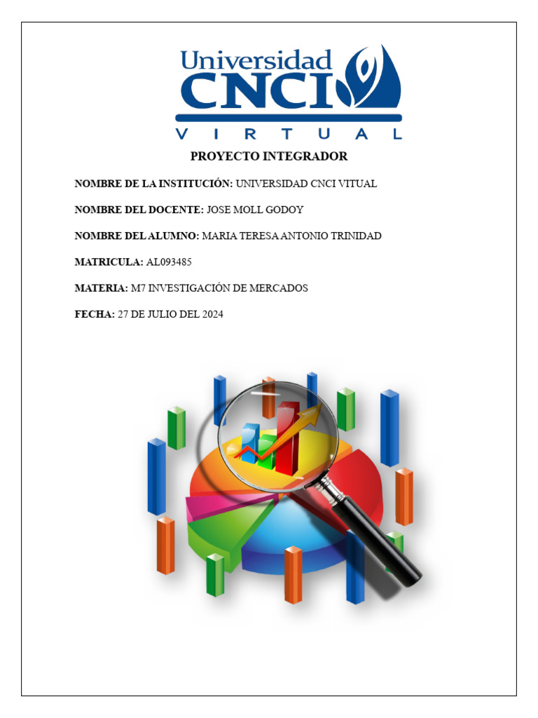 Proyecto Integrador | PDF