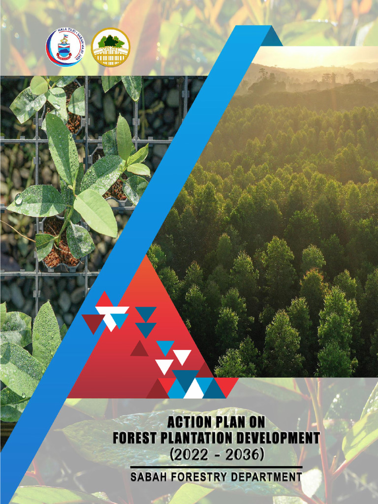 Action Plan On Forest Plantation Development (2022 - 2036) | PDF ...