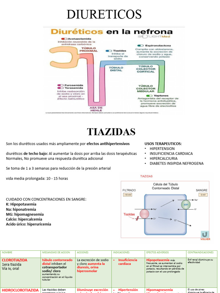 Diuréticos: Tipos, Usos y Efectos | PDF | Especialidades Medicas