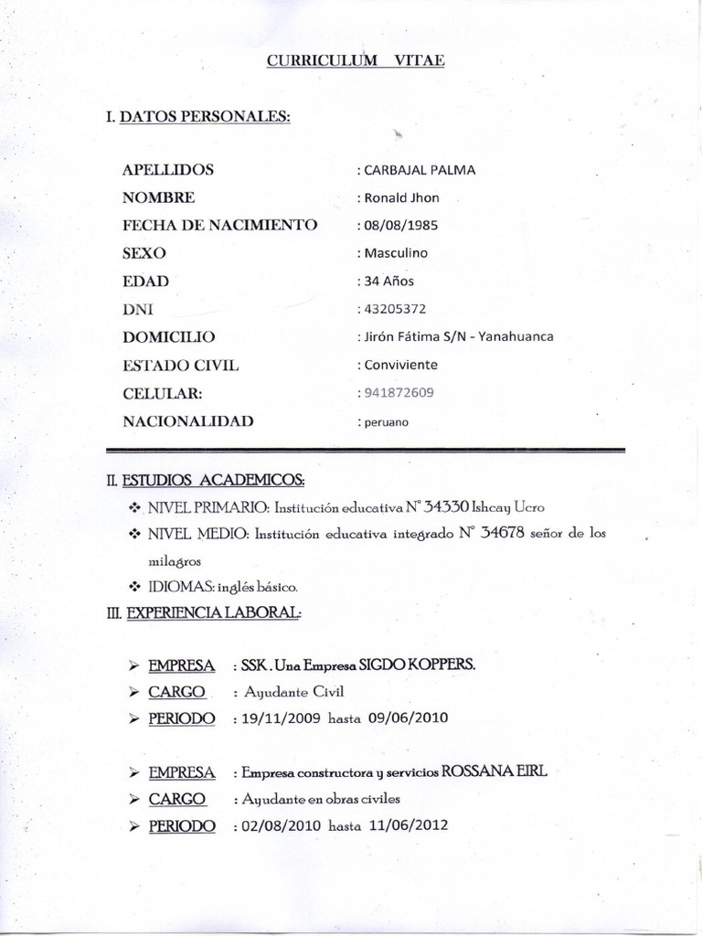 CV - RONALD CARBAJAL PALMA | PDF