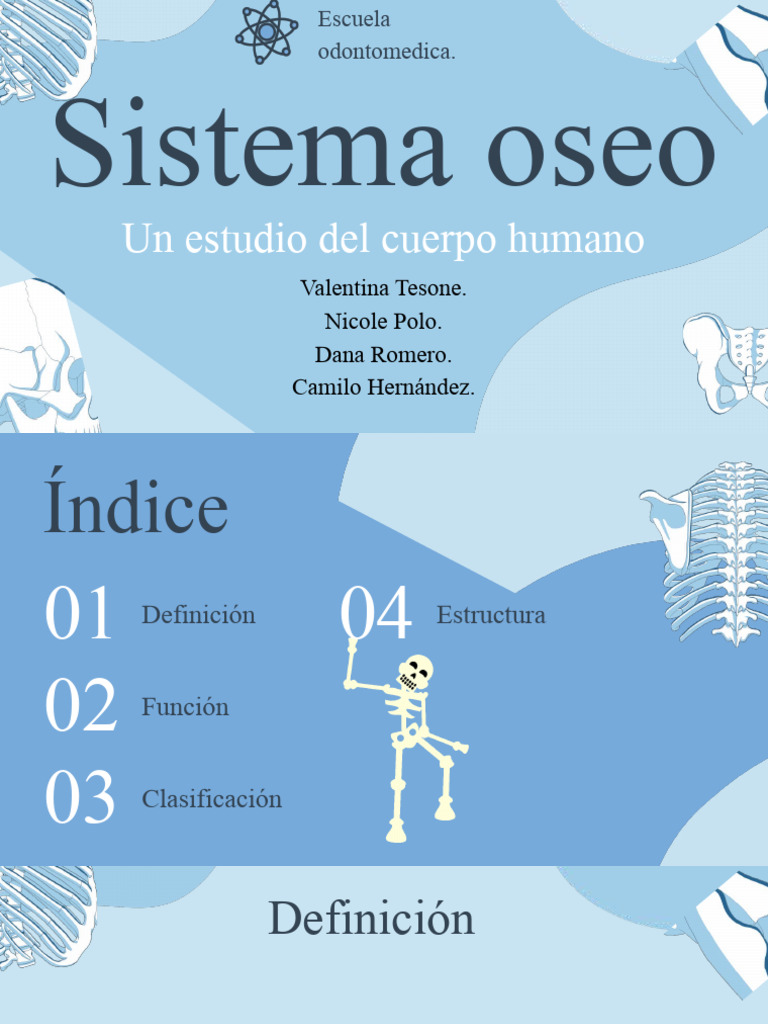 Presentación Diapositivas Anatomía Cuerpo Humano Ilustrativo Simple ...