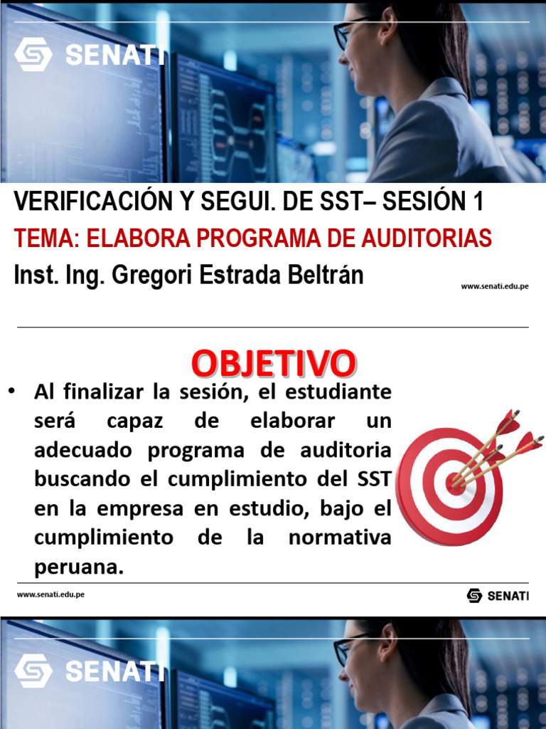 Verifi. y Seguim. SST-S1 | PDF | Auditoría | Valores