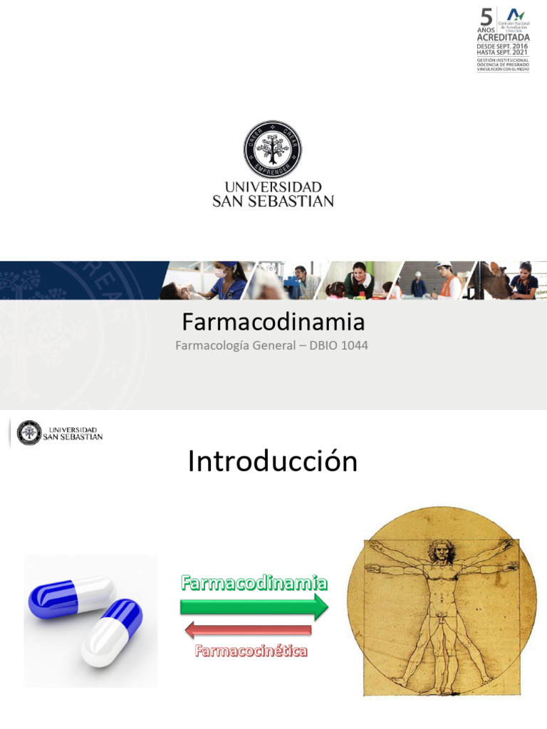 Clase 5 - Farmacodinamia | PDF | Receptor Antagonista | Farmacología