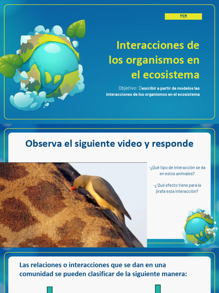 09 Interacciones en El Ecosistema | PDF | Etología | Biología