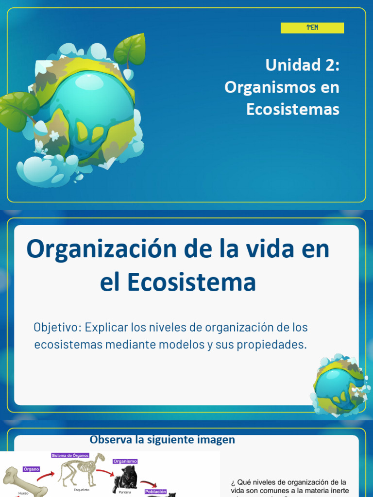 08 Organizacioìn en El Ecositema | PDF | Ecología | Organismos