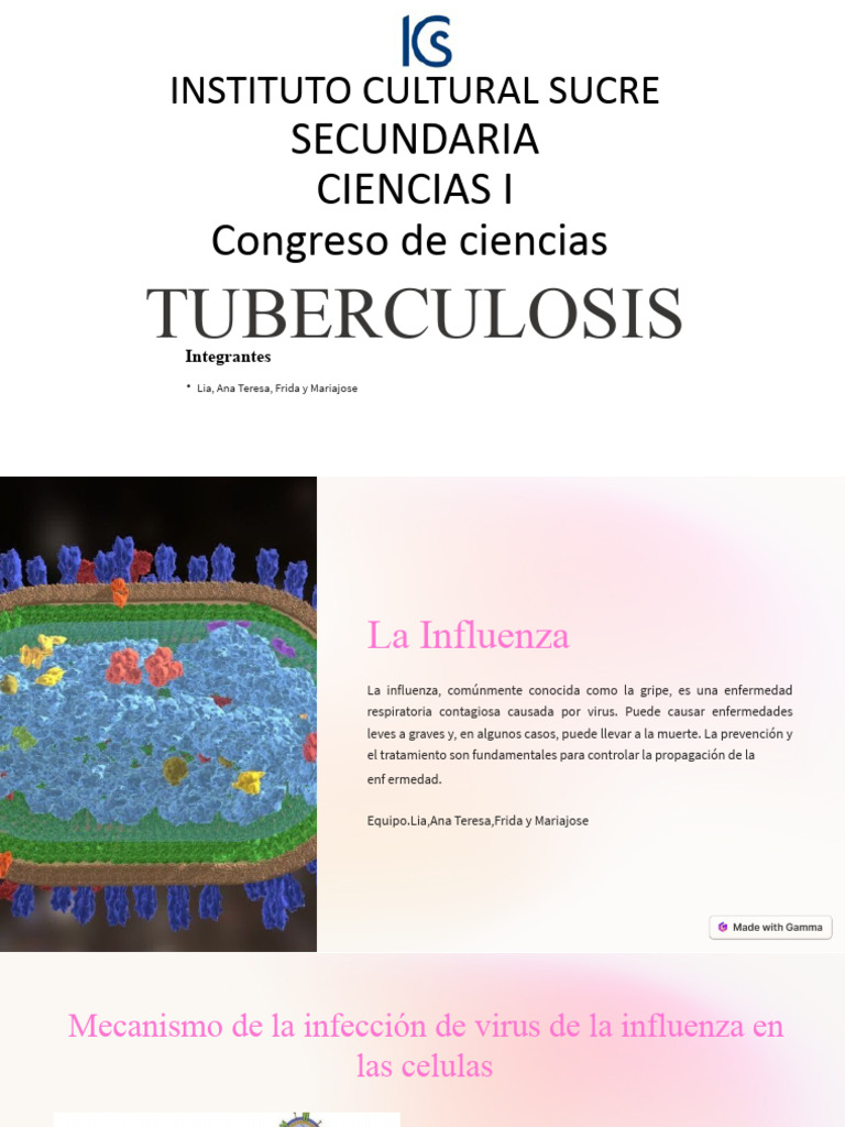 Presentacion La Influenza Eq1 | PDF | Influenza | Virus