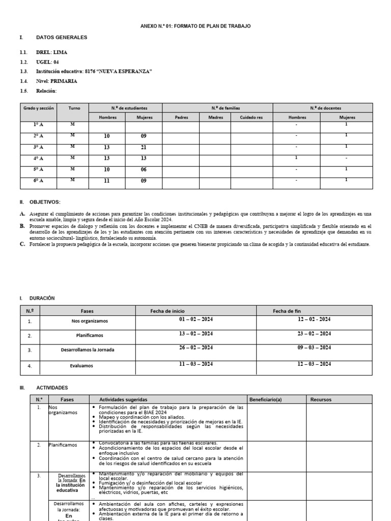 Plan de Trabajo para el BIAE 2024 | PDF | Escuelas | Salón de clases