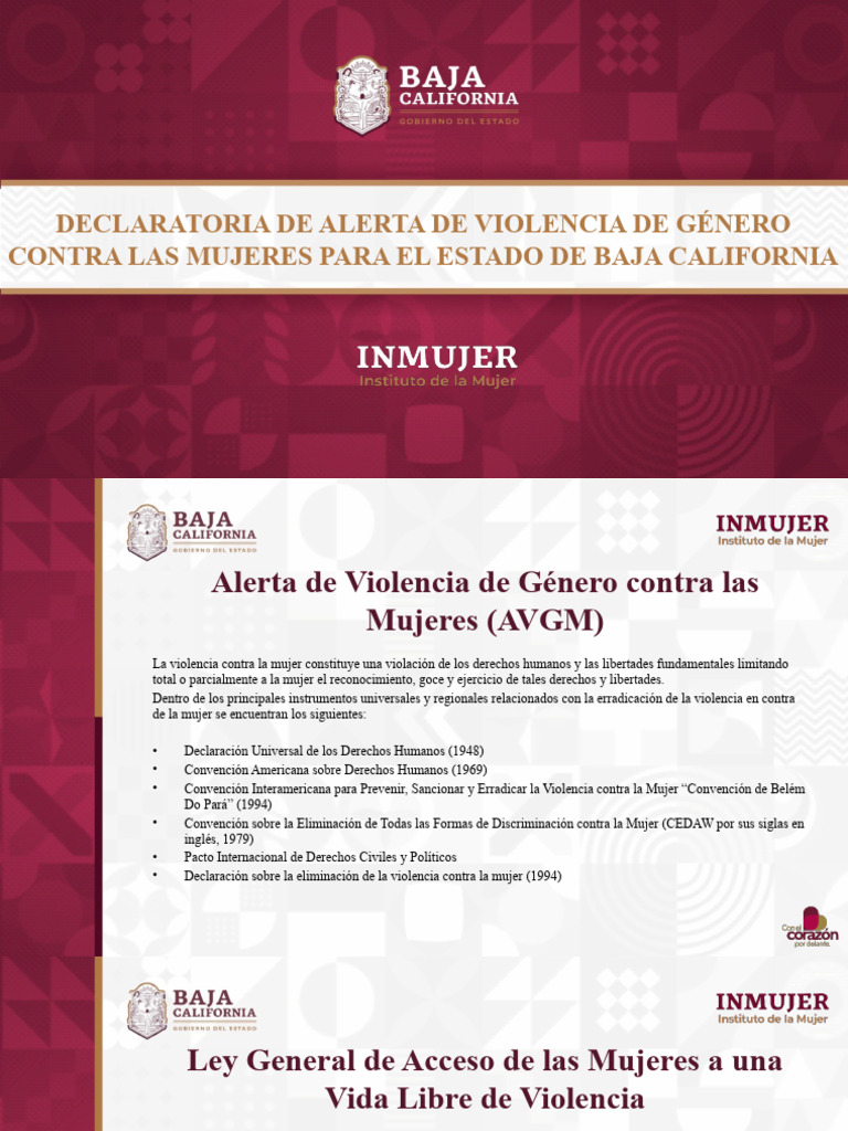 Avgm - Presentación Informativa | PDF | La violencia contra las mujeres ...