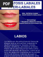 Anatomía y Fisiología de Los Labios. | PDF | Labio | Piel