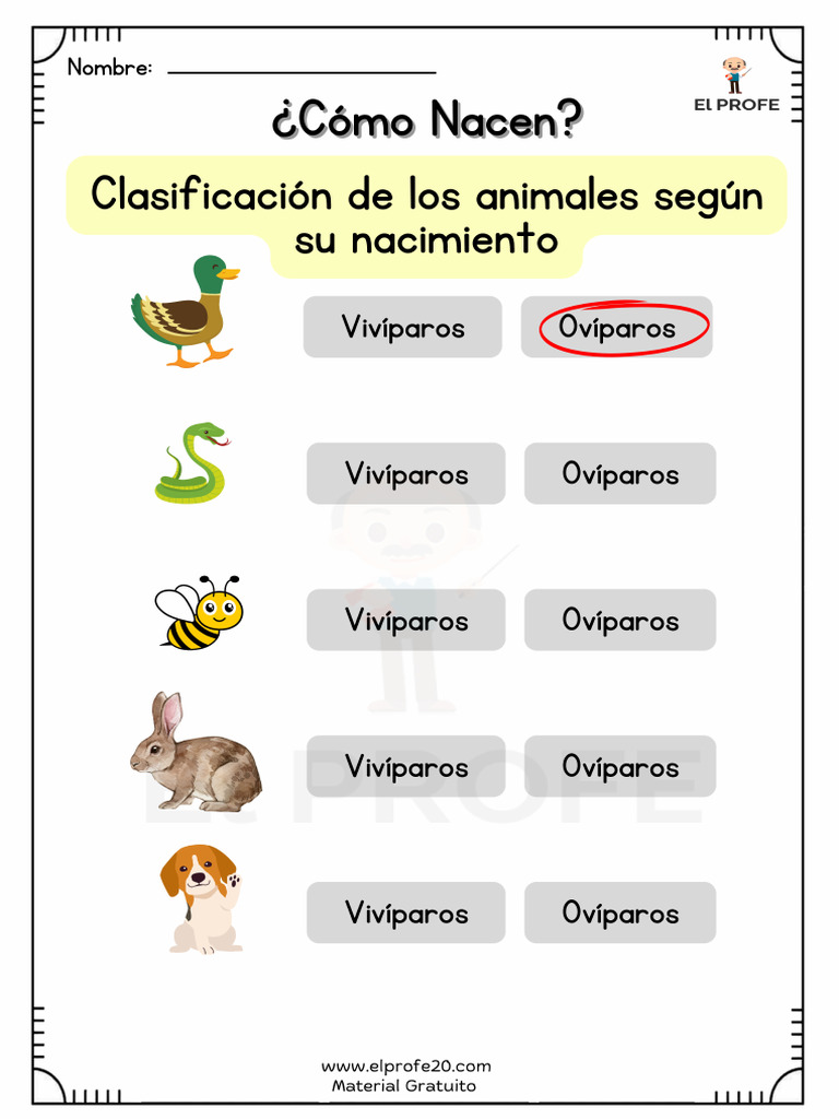 Clasificacion de Los Animales Segun Su Nacimiento | PDF