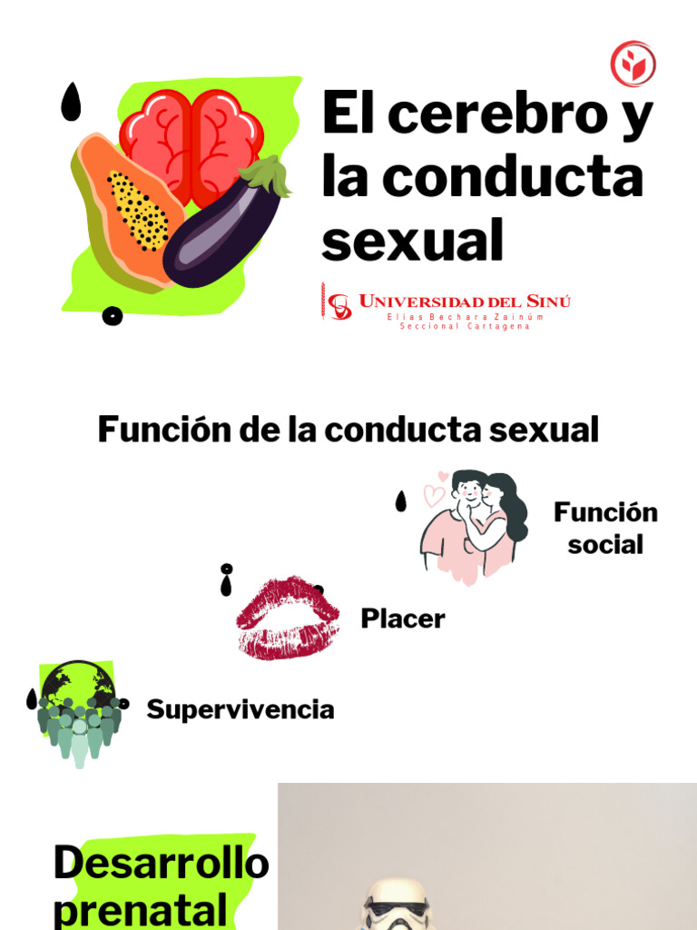 Cerebro y Conducta Sexual: Hormonas y Desarrollo | PDF | Gonadotropina ...