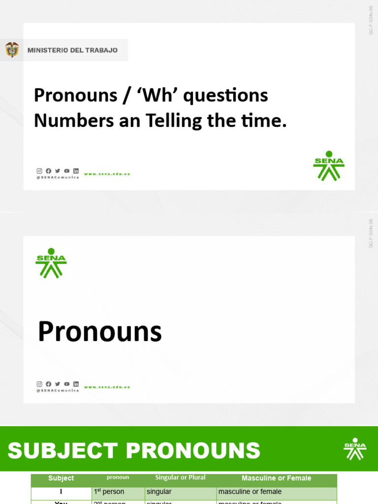 Understanding Pronouns and Time | PDF | Grammatical Number ...