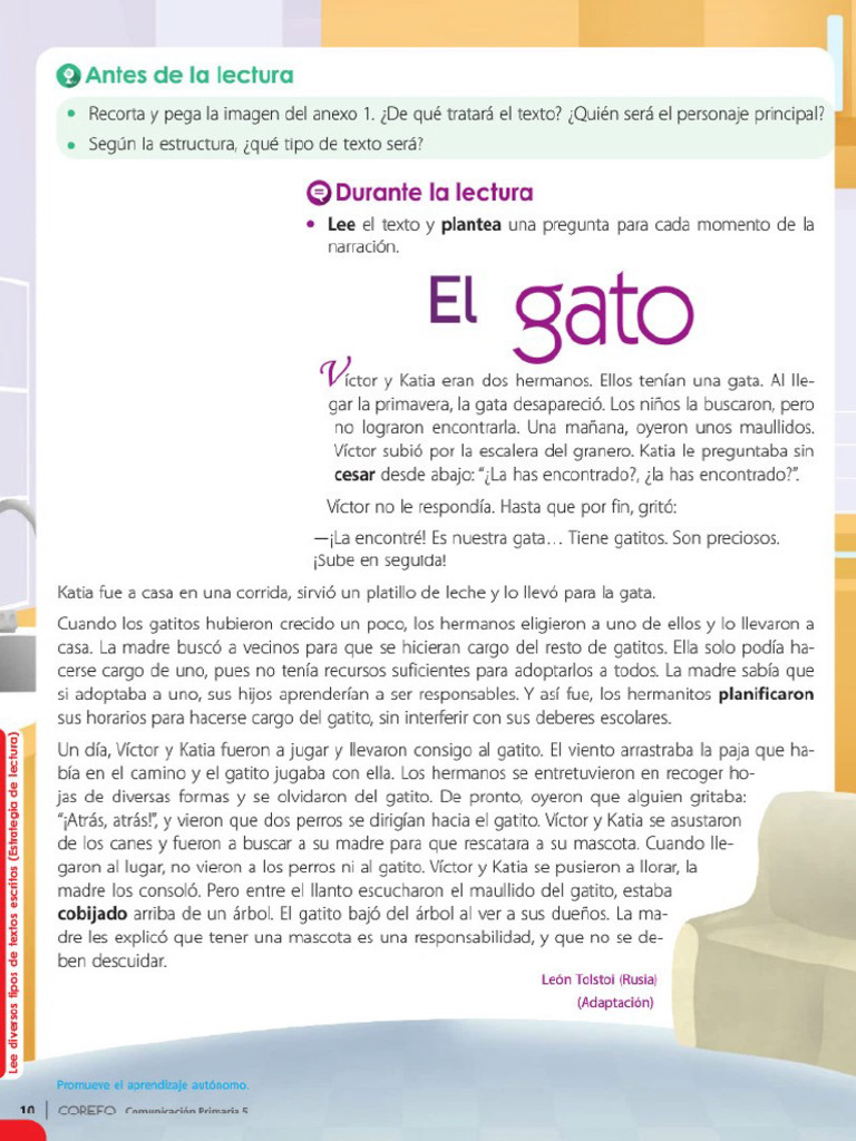 El Gato | PDF