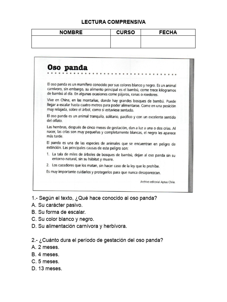 Lectura Comprensiva-Oso Panda | PDF | Artes del Lenguaje y Comunicación ...