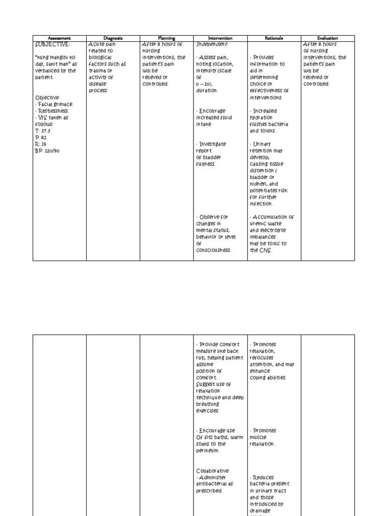 Nursing Care Plan for UTI Management | PDF