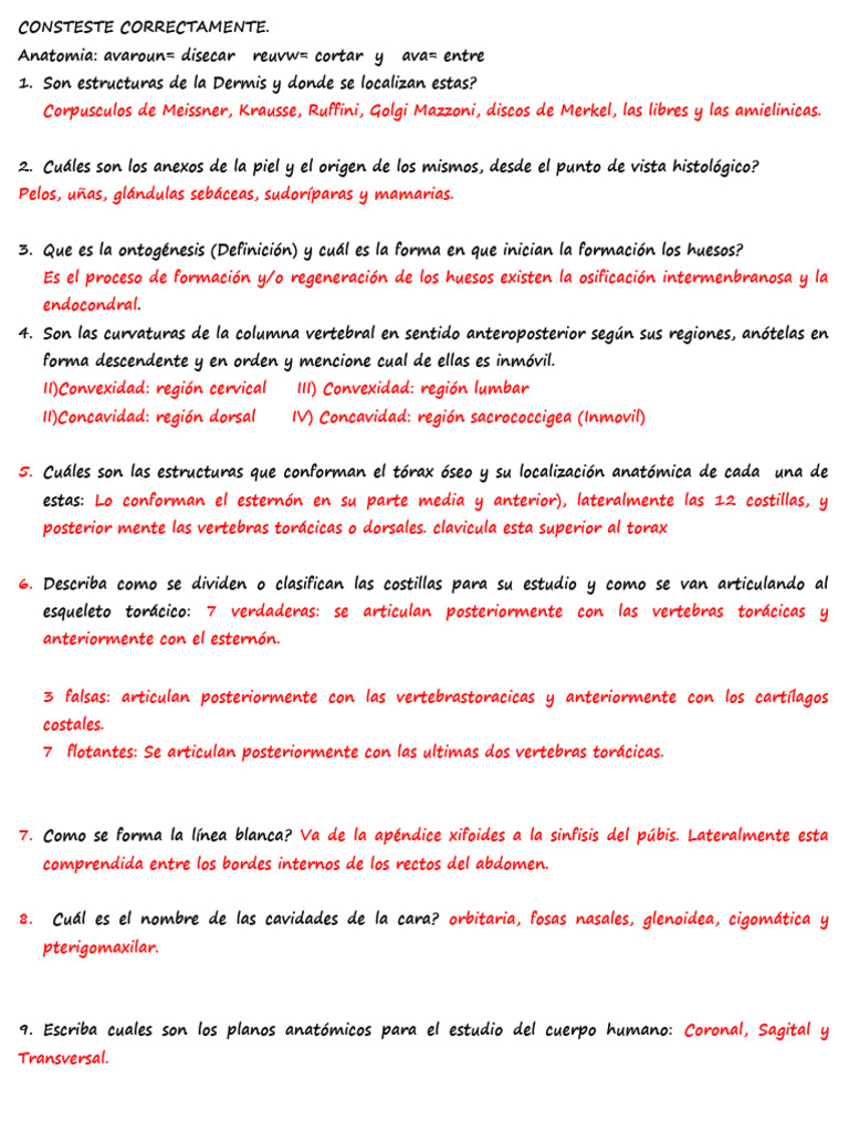 Examen de Esther | PDF | Tórax | Articulación