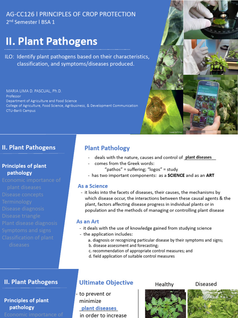 II. Plant Pathogens | PDF | Plant Pathology | Pathology