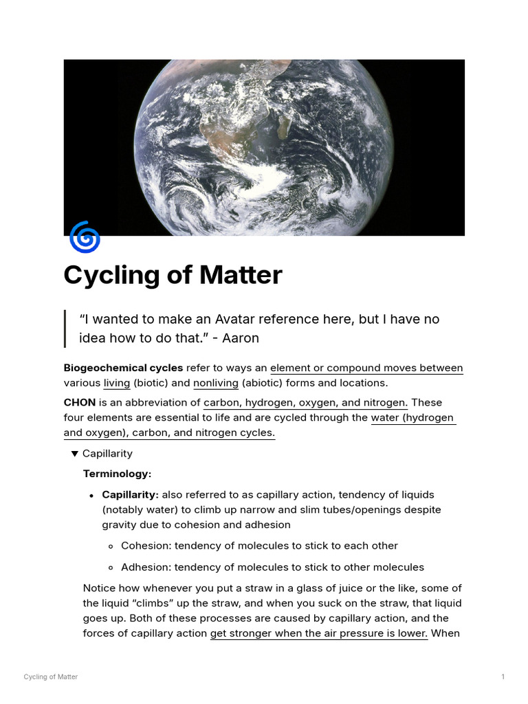 Understanding Biogeochemical Cycles | PDF | Carbon Dioxide | Nitrogen