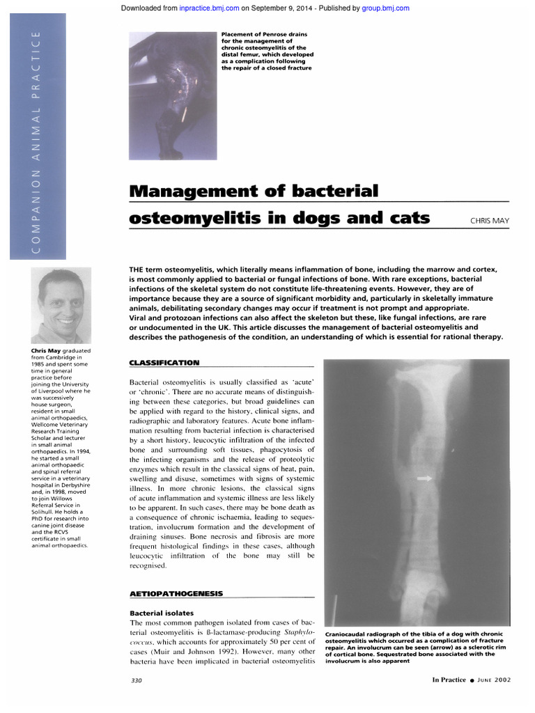 Veterinary Osteomyelitis Management | PDF | Infection | Biofilm