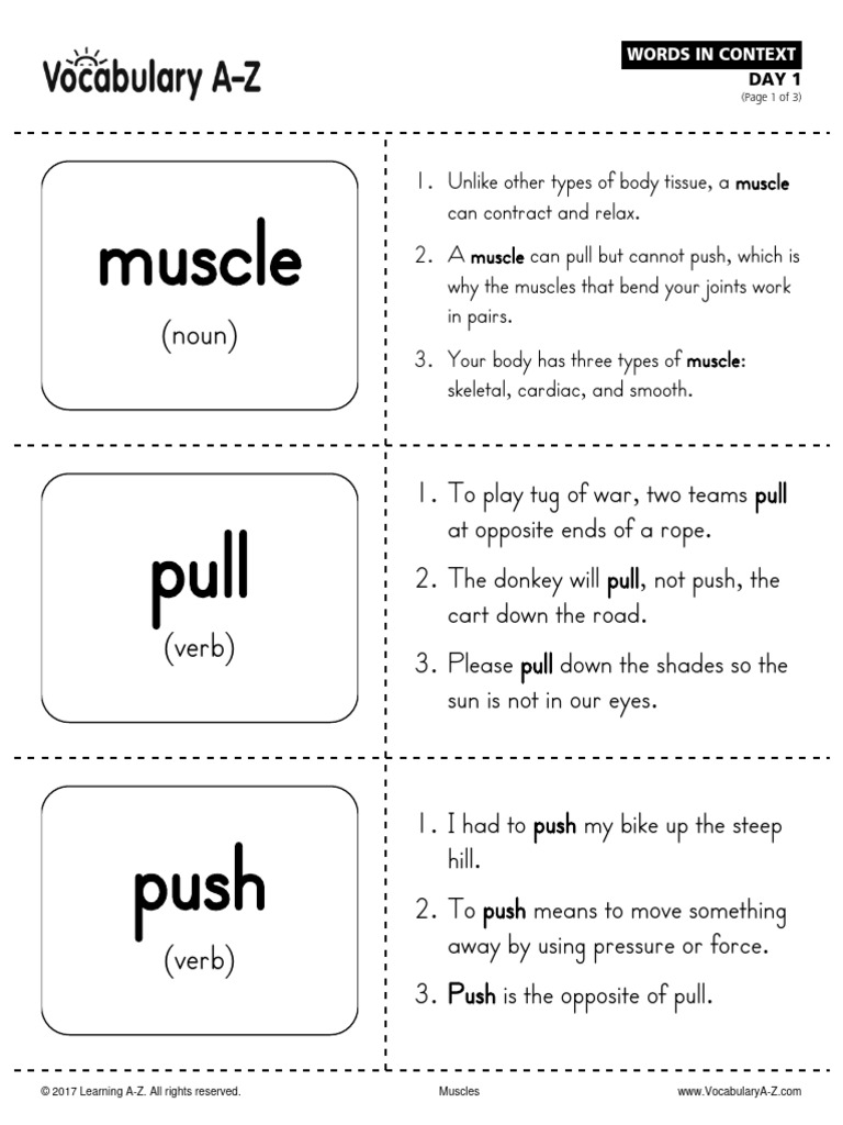 Muscles V | PDF | Language Arts & Discipline