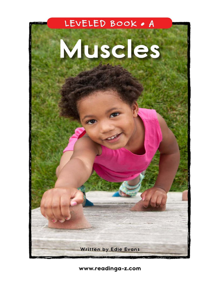 Muscles | PDF