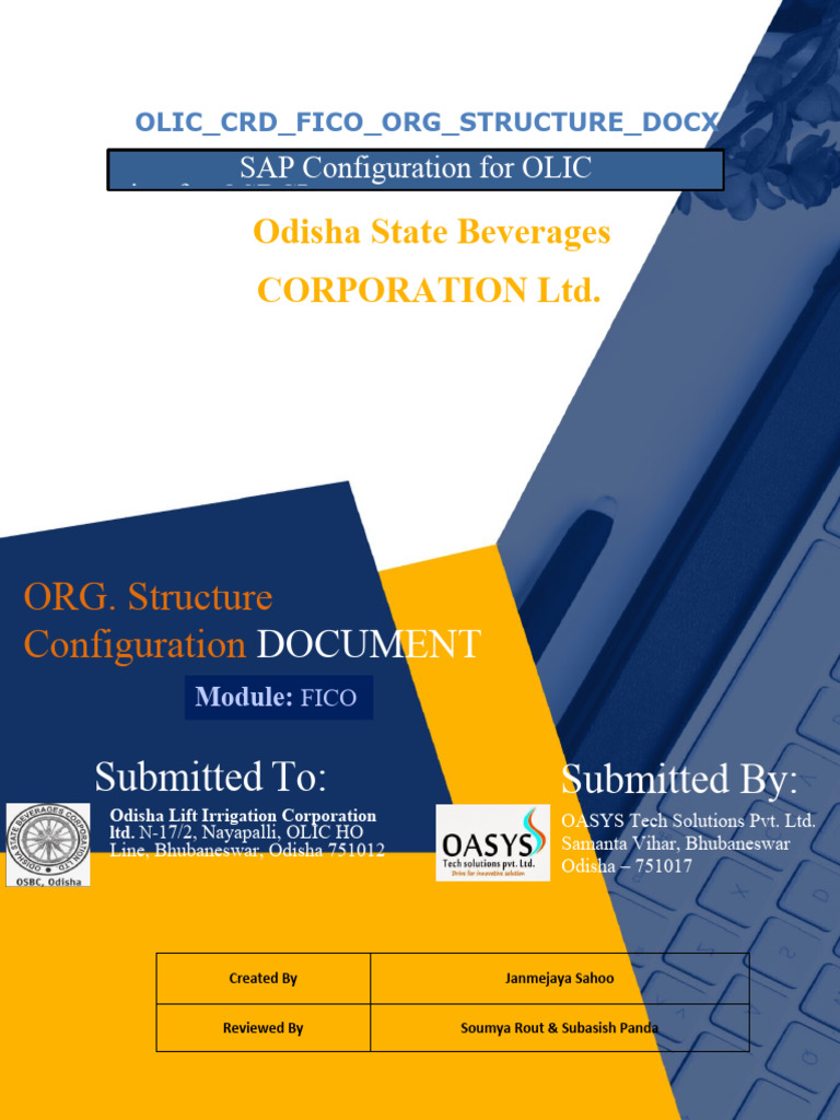 Olic CRD Fico Org Structure | PDF | Enterprise Resource Planning ...