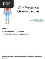 BORMAN Clasificaciaon de Borrmann | PDF