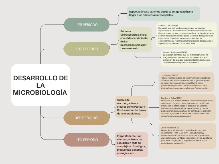 Desarrollo de La Microbiología Mapa Conceptual | PDF | Microorganismo | Microbiología