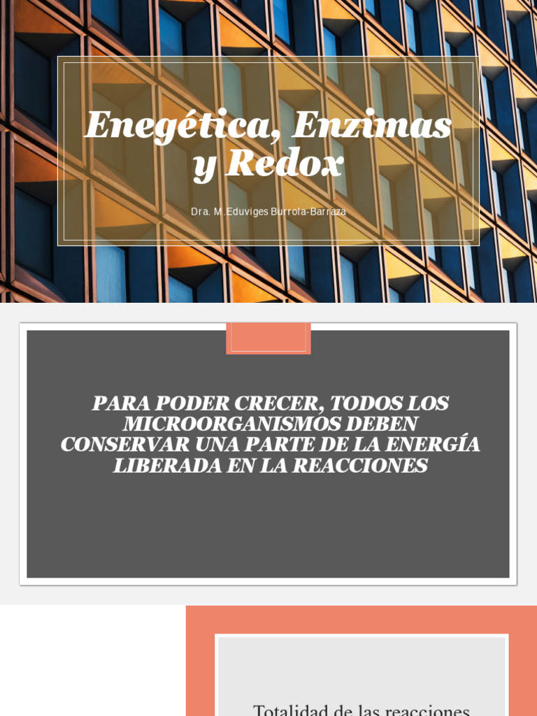 Energia, Enzimas y Redox | PDF | Enzima | Redox