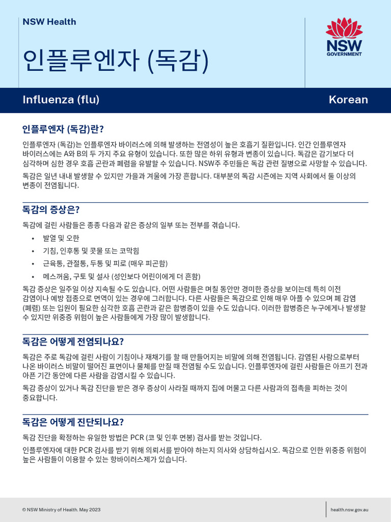 Flu Fs Korean | PDF