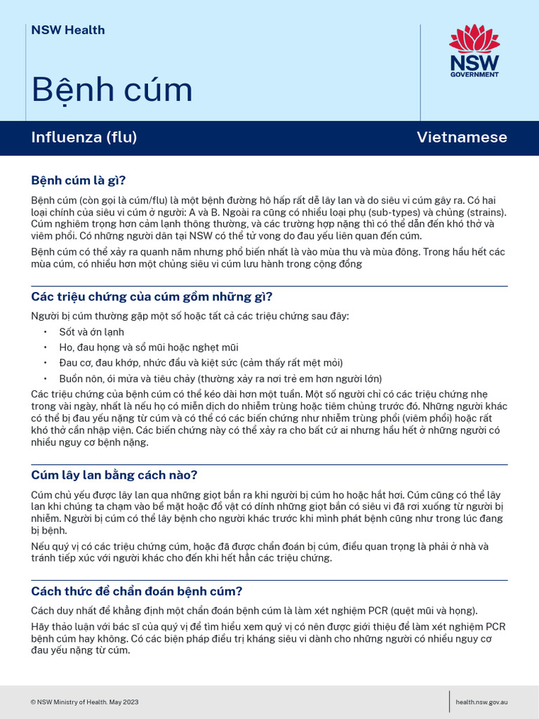 Flu Fs Vietnamese | PDF