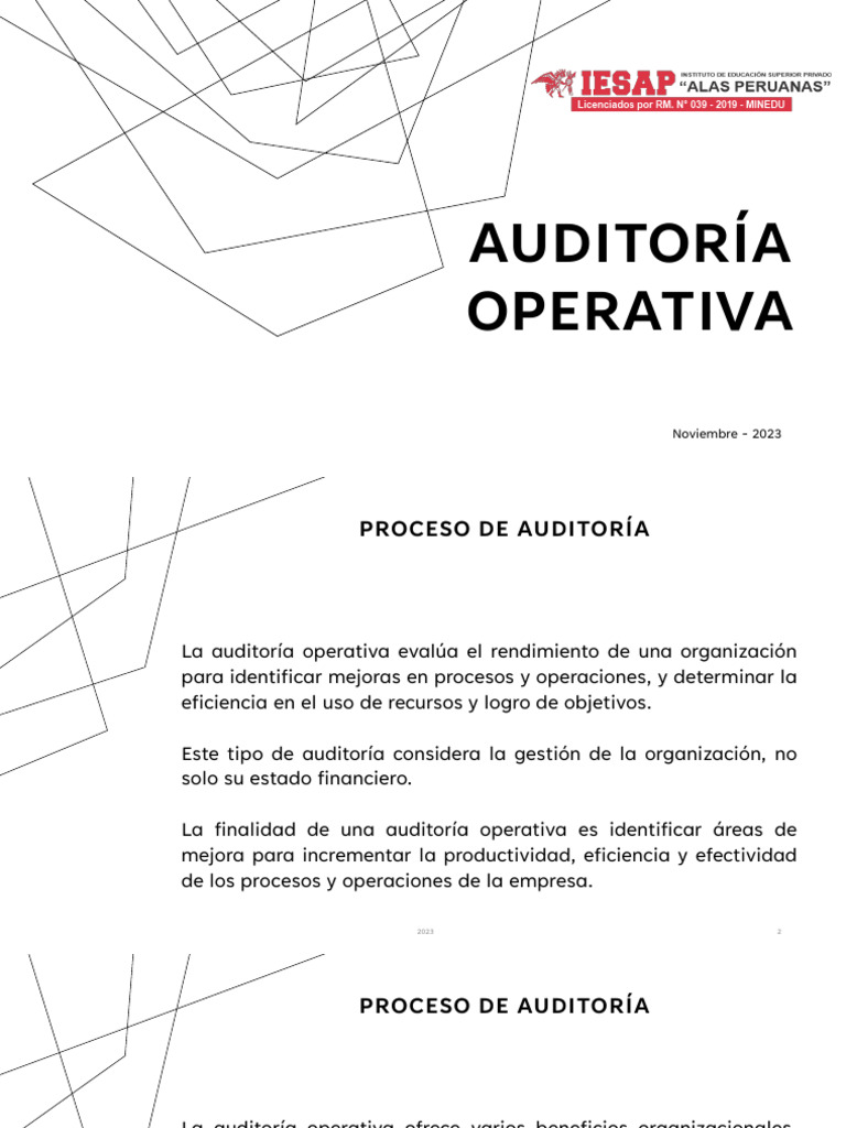 s24 Auditoria Operativa Proceso de Auditoria | PDF | Auditoría | Business