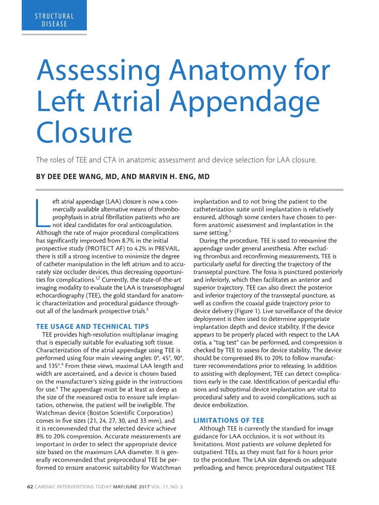 Anatomy LAA | PDF | Ct Scan | Angiography