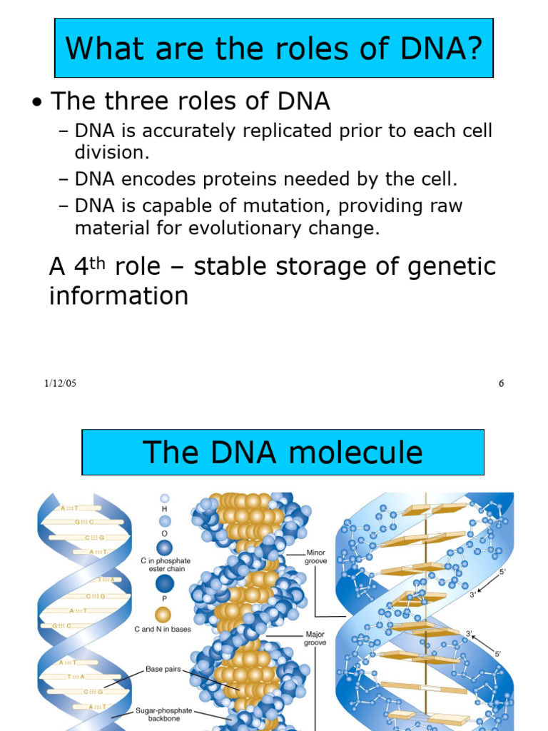 Genetics-Structure of Genes | PDF | Dna | Gene