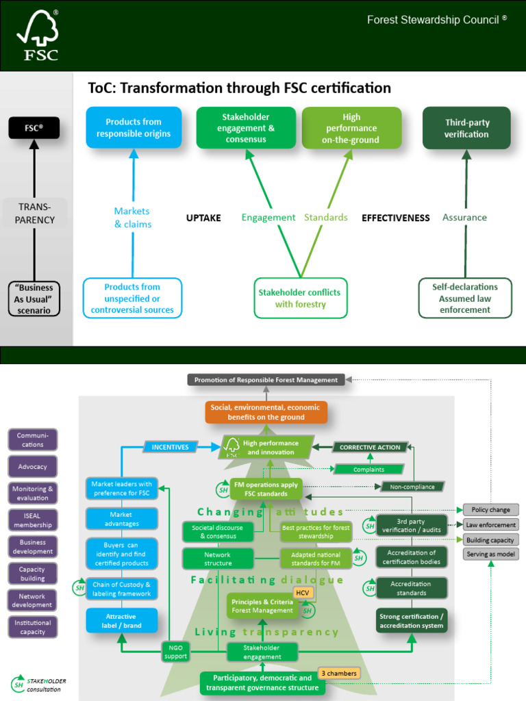 FSC ToC - Illustration v2 | PDF | Forest Stewardship Council | Natural ...