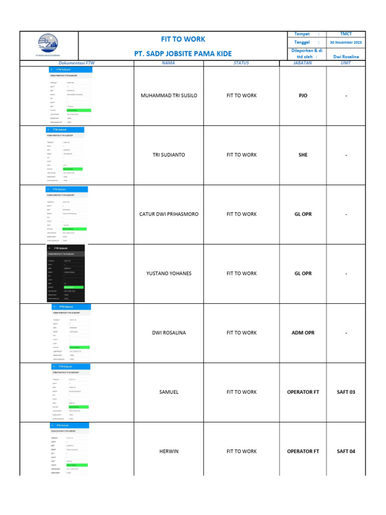 Fit to Work Documentation Summary | PDF